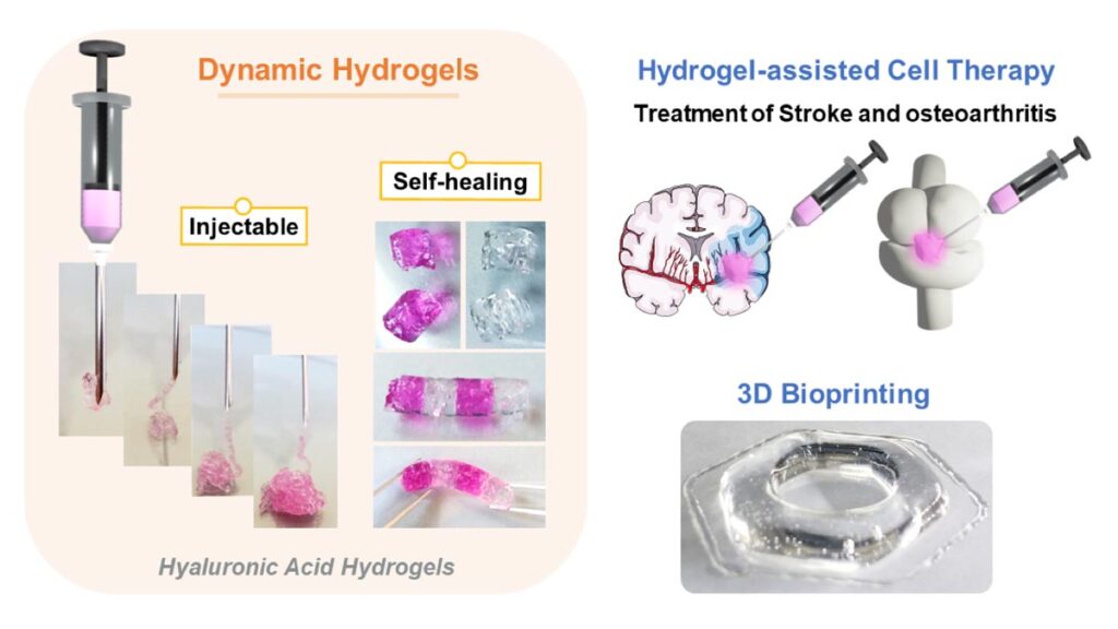 Structure and modification of polysaccharides - Centre de recherches ...
